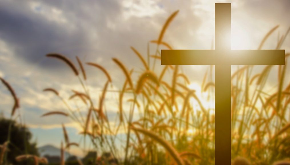 EVEN TO THE CROSS – The Assisi Project